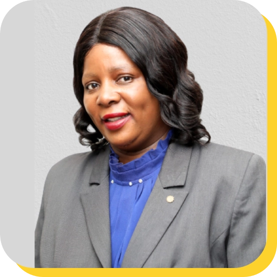 ZINARA - Zimbabwe National Road Administration